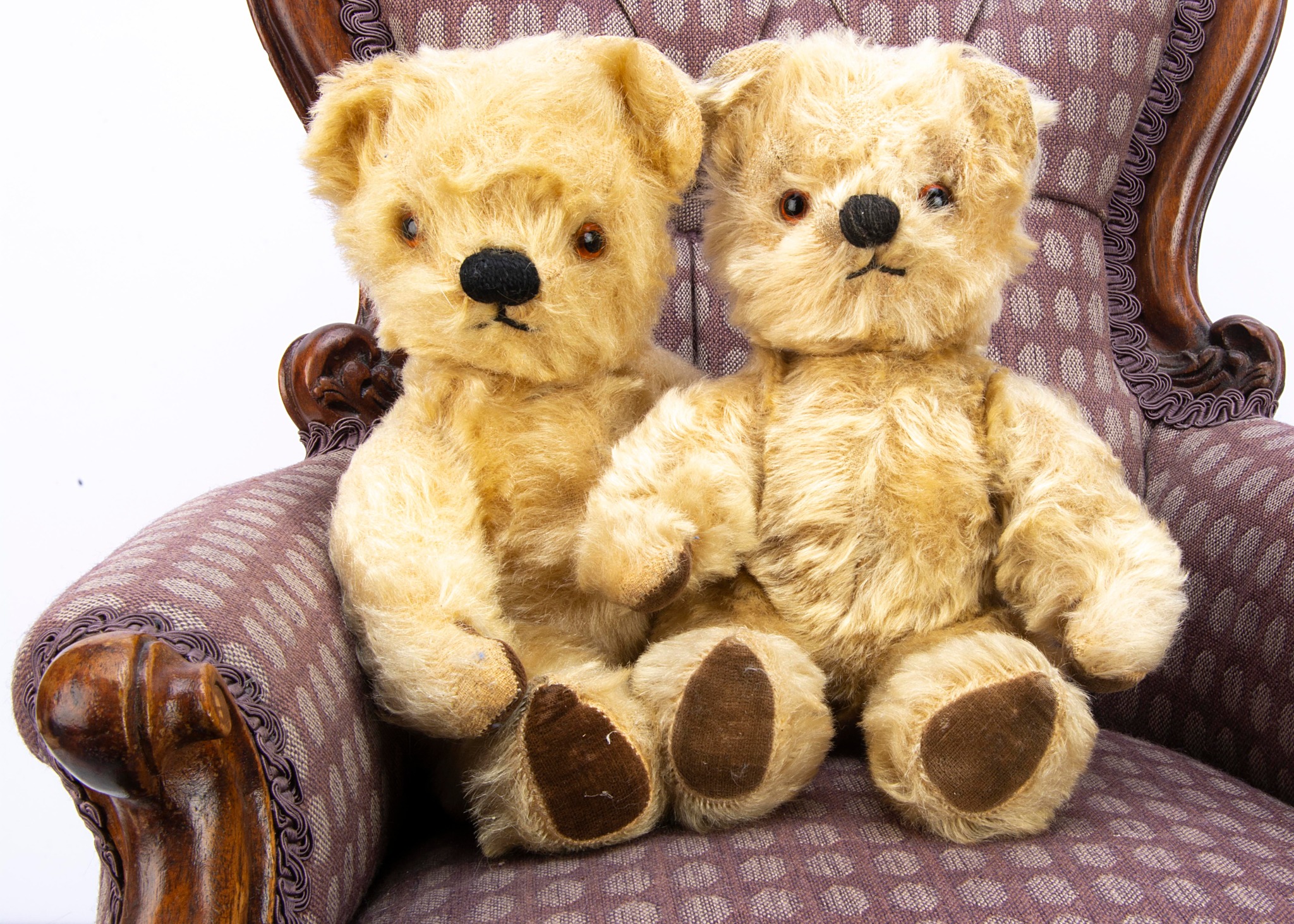 Wiltshire woman s 1 500 teddy bears going under the hammer GHR Salisbury